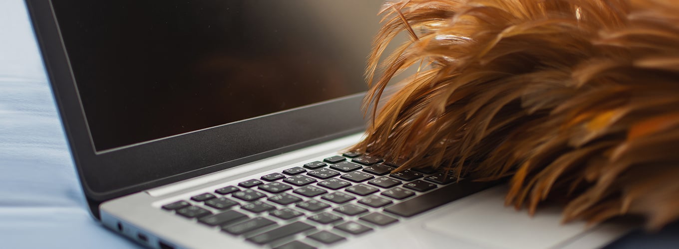 How to Clean Up Your PC: Hard Drive, Apps & Windows