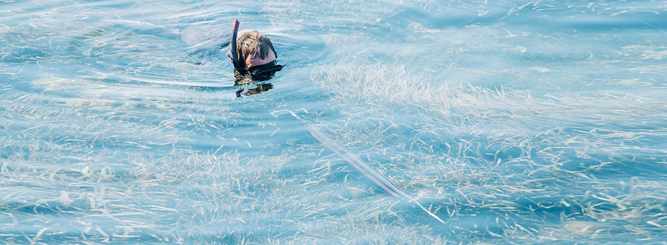 Spear Phishing: o que é e como evitá-lo? | Avast