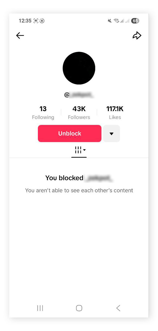 Como bloquear alguém no TikTok: passo a passo