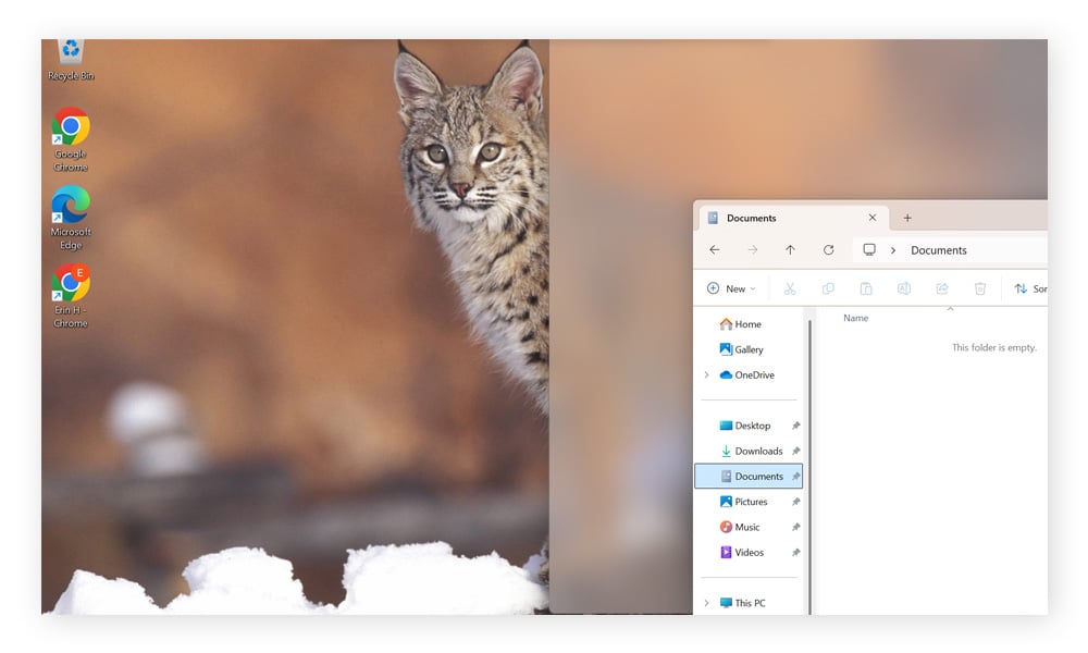 How to Split Screen on Windows 10 & Windows 11