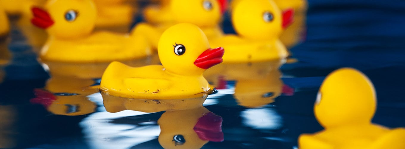 What Is DuckDuckGo, Is It Safe, and How Does It Work?