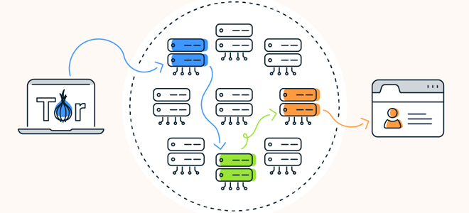 The Tor Network: A Guide to the Dark Web Browser