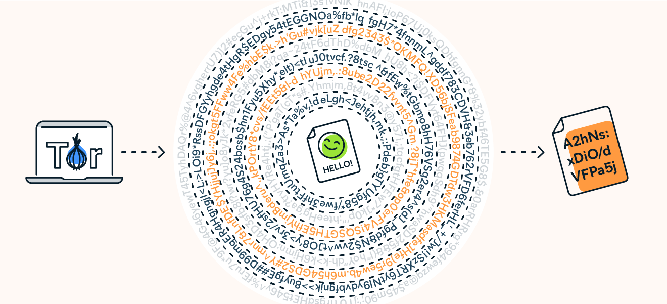 The Tor Network: A Guide to the Dark Web Browser