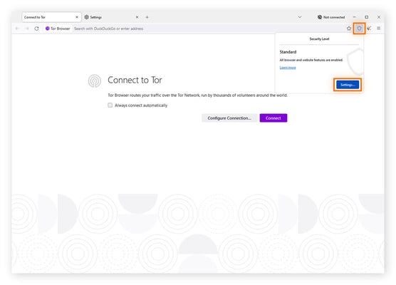 The Tor Network: A Guide to the Dark Web Browser