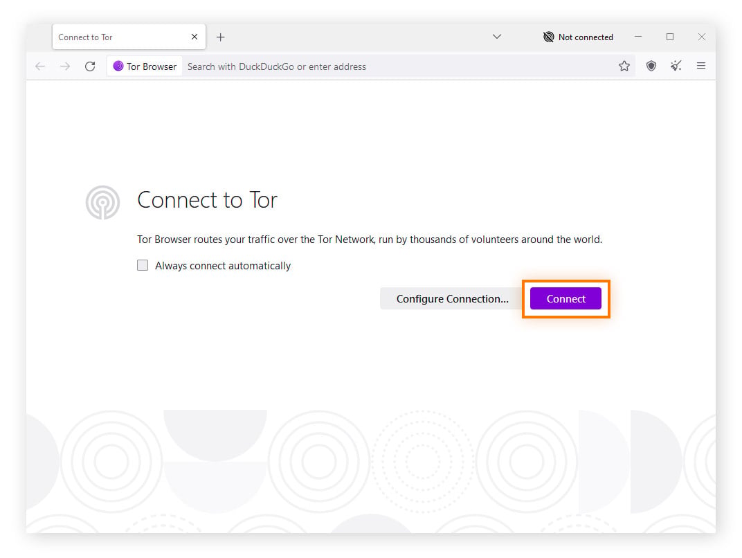 The Tor Network: A Guide to the Dark Web Browser