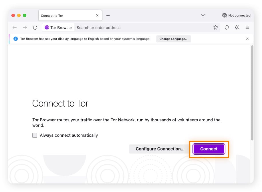 The Tor Network: A Guide to the Dark Web Browser