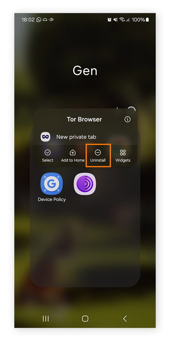 The Tor Network: A Guide to the Dark Web Browser